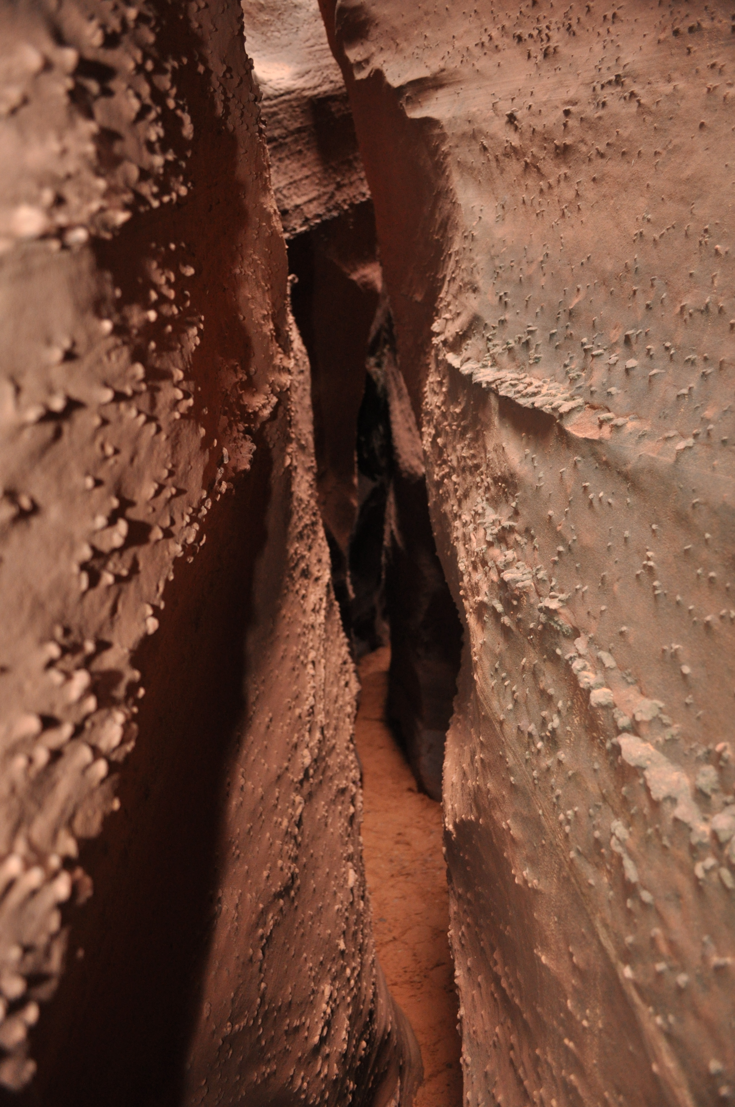 Spooky Gulch - Your Hike Guide