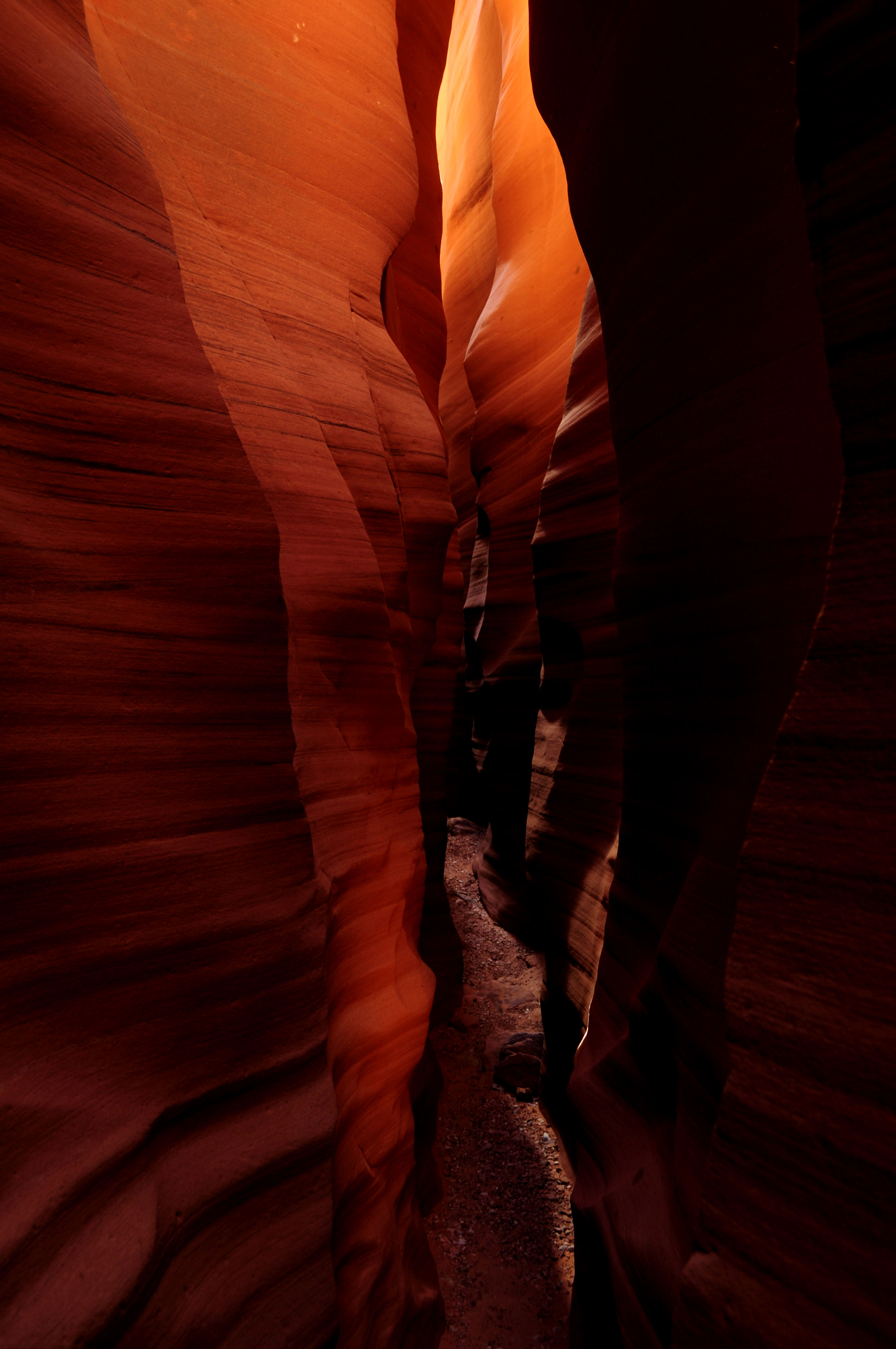 Red Breaks - Your Hike Guide